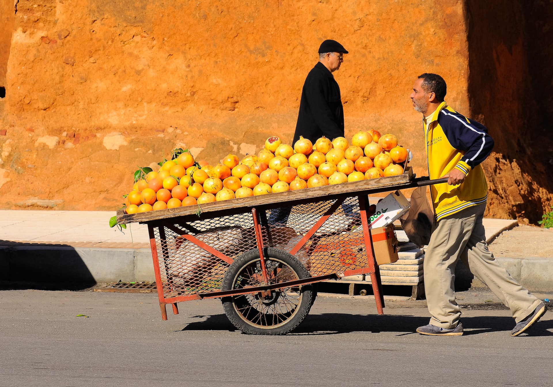 All You Need to Know About Transporting Fruit Cargo